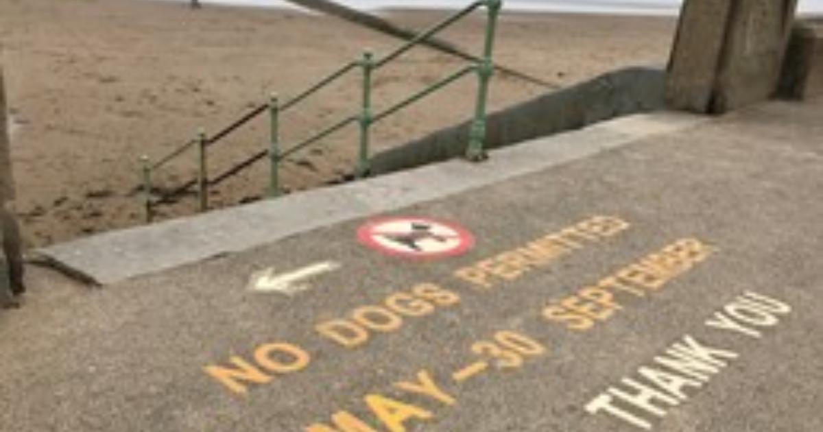 Dog exclusion zones back in force on city beaches from May - Sunderland ...