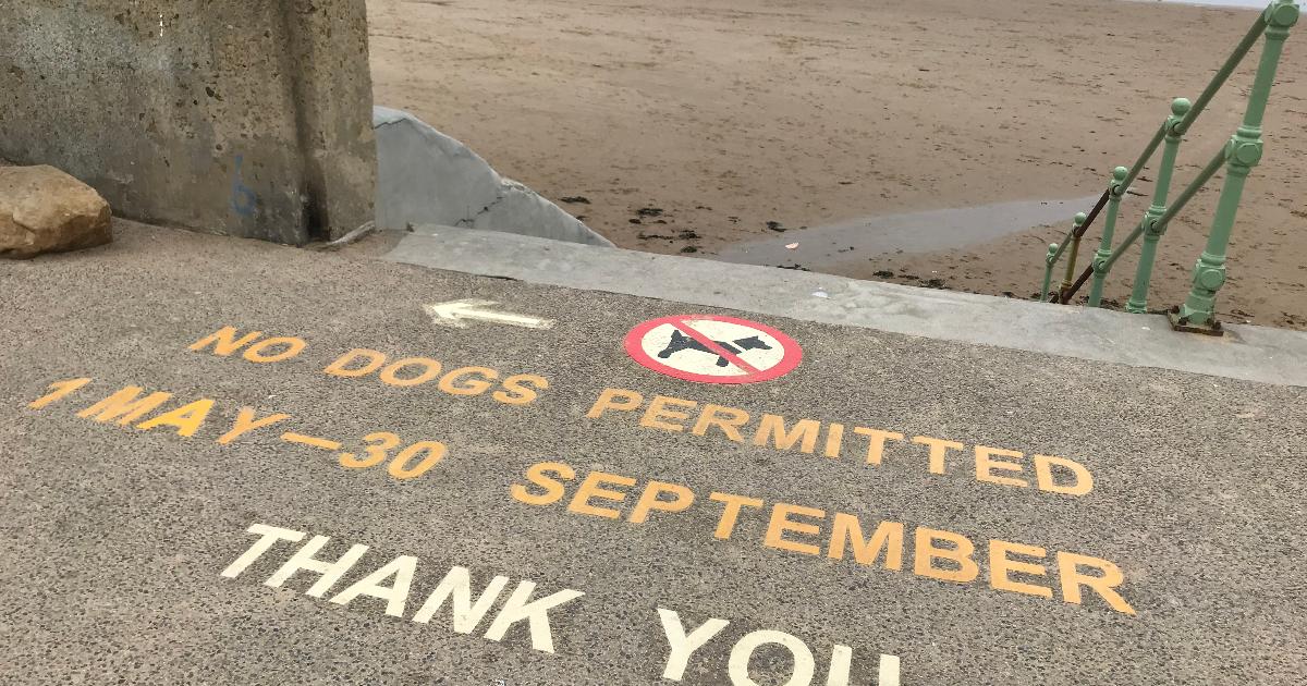 Dog exclusion zones back in force on city beaches from May - Sunderland ...