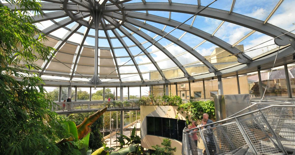 Museum secures funding for repairs to iconic Winter Gardens ...