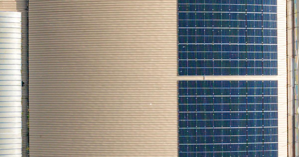More schools to benefit from solar panels - Sunderland City Council